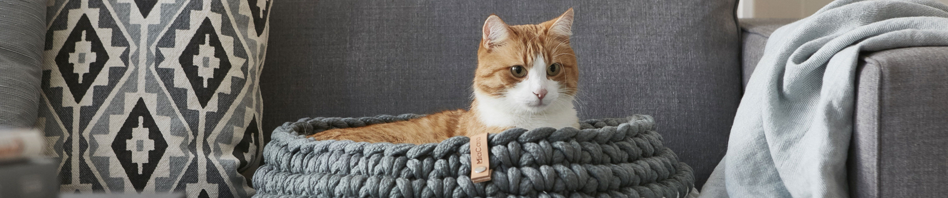 Design kattenmanden | Kattenmand kopen? | Flinders